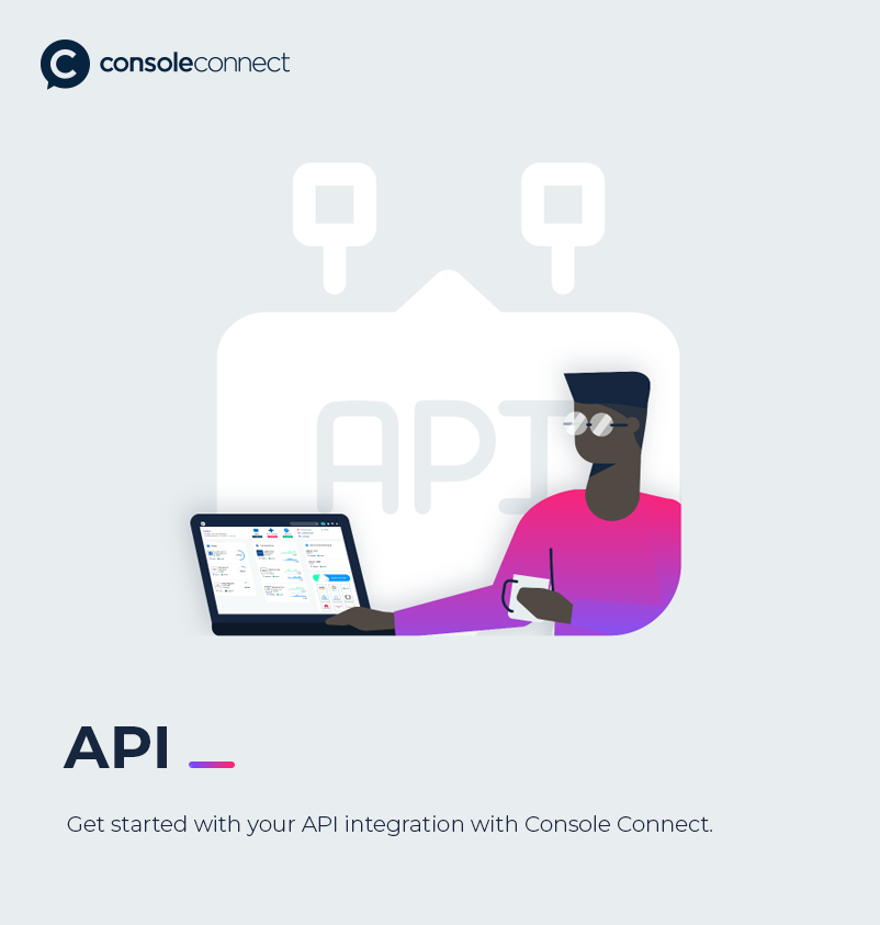 API Overview – Console Connect
